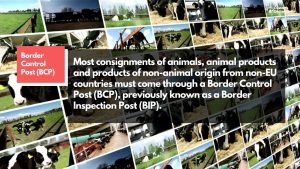 Border Control Post (BCP) | CUSTOMS ACRONYMS & GLOSSARY | Customs ...