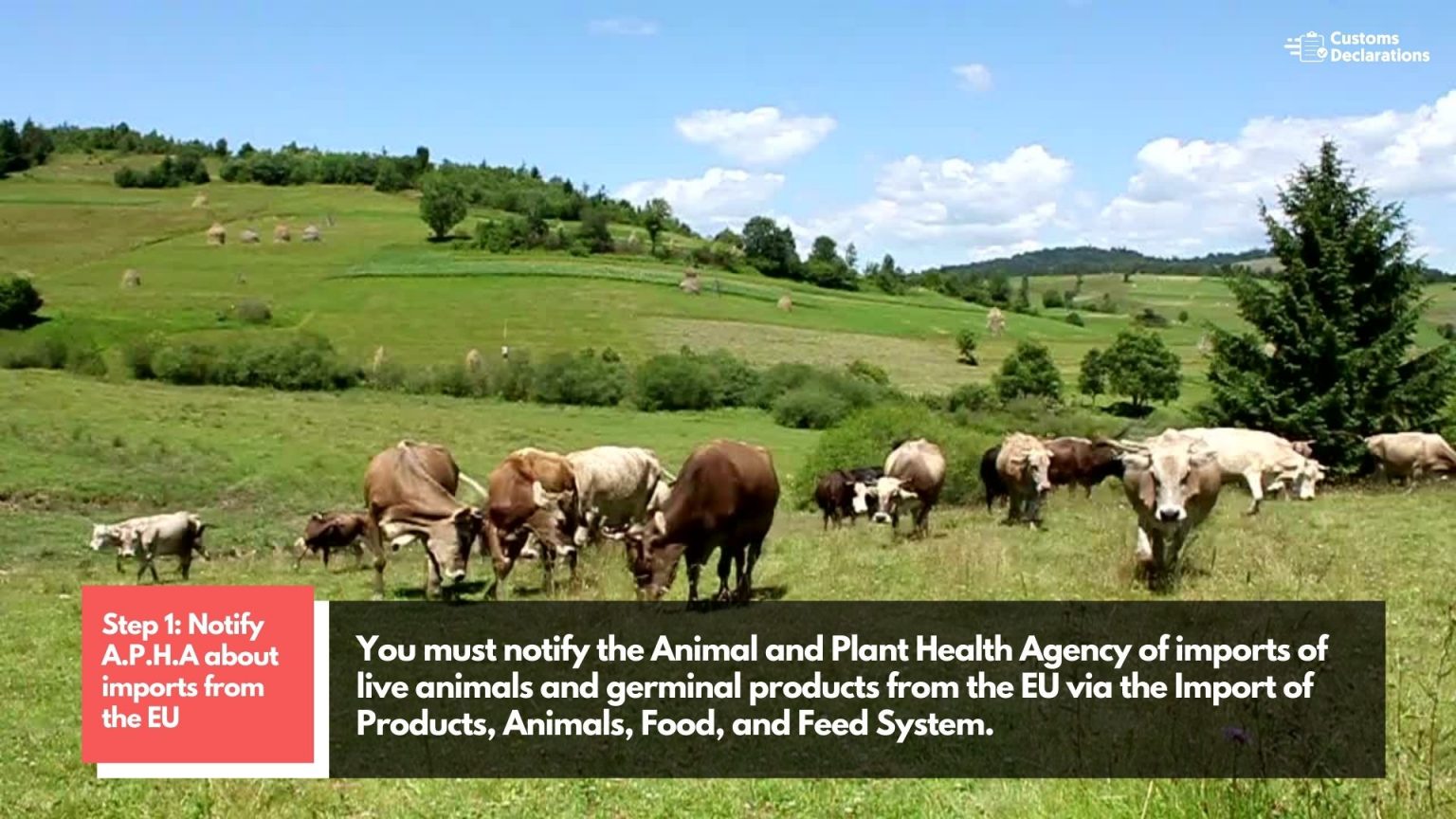 A quick guide to importing live animals and germinal products from the ...