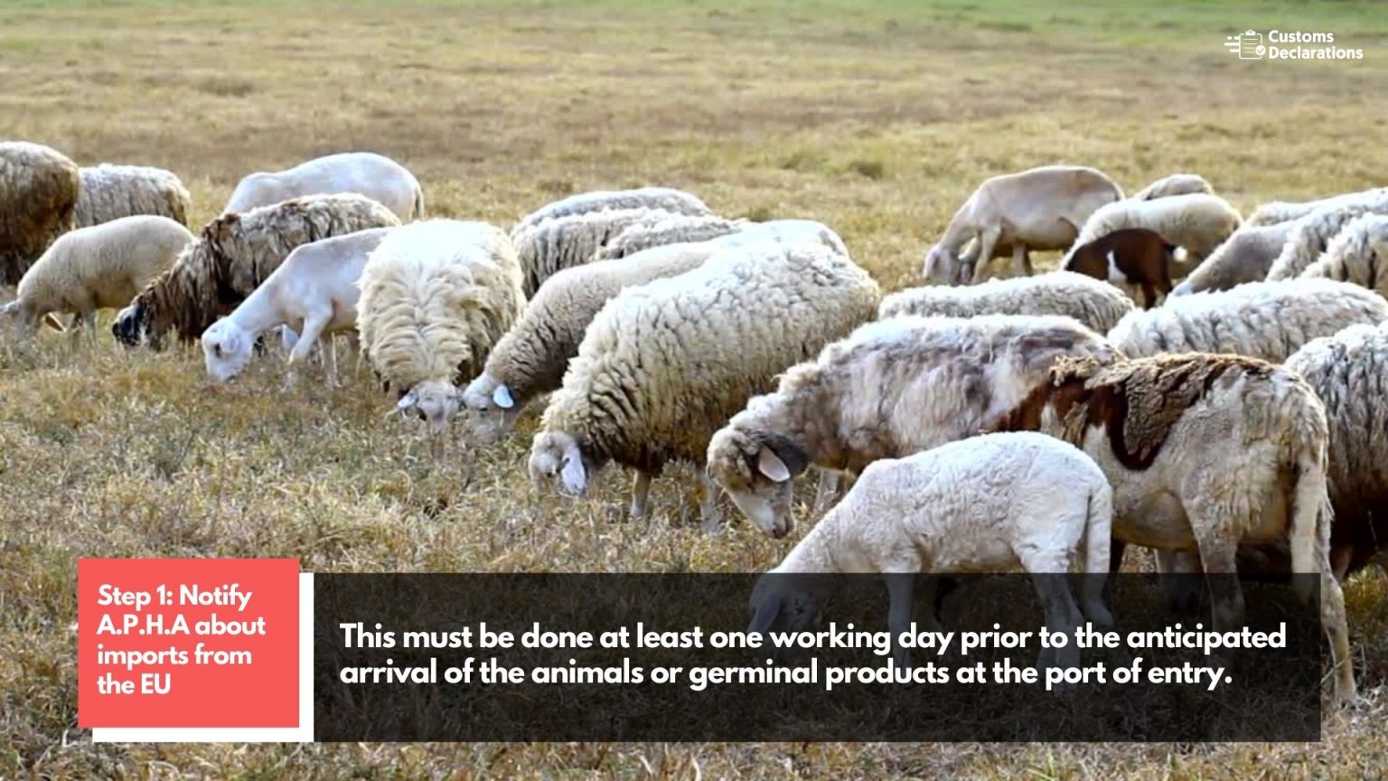 A quick guide to importing live animals and germinal products from the ...