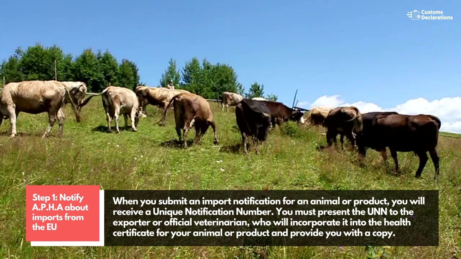 A quick guide to importing live animals and germinal products from the ...
