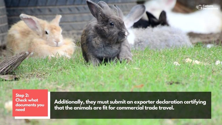 A quick guide to importing live animals and germinal products from the ...