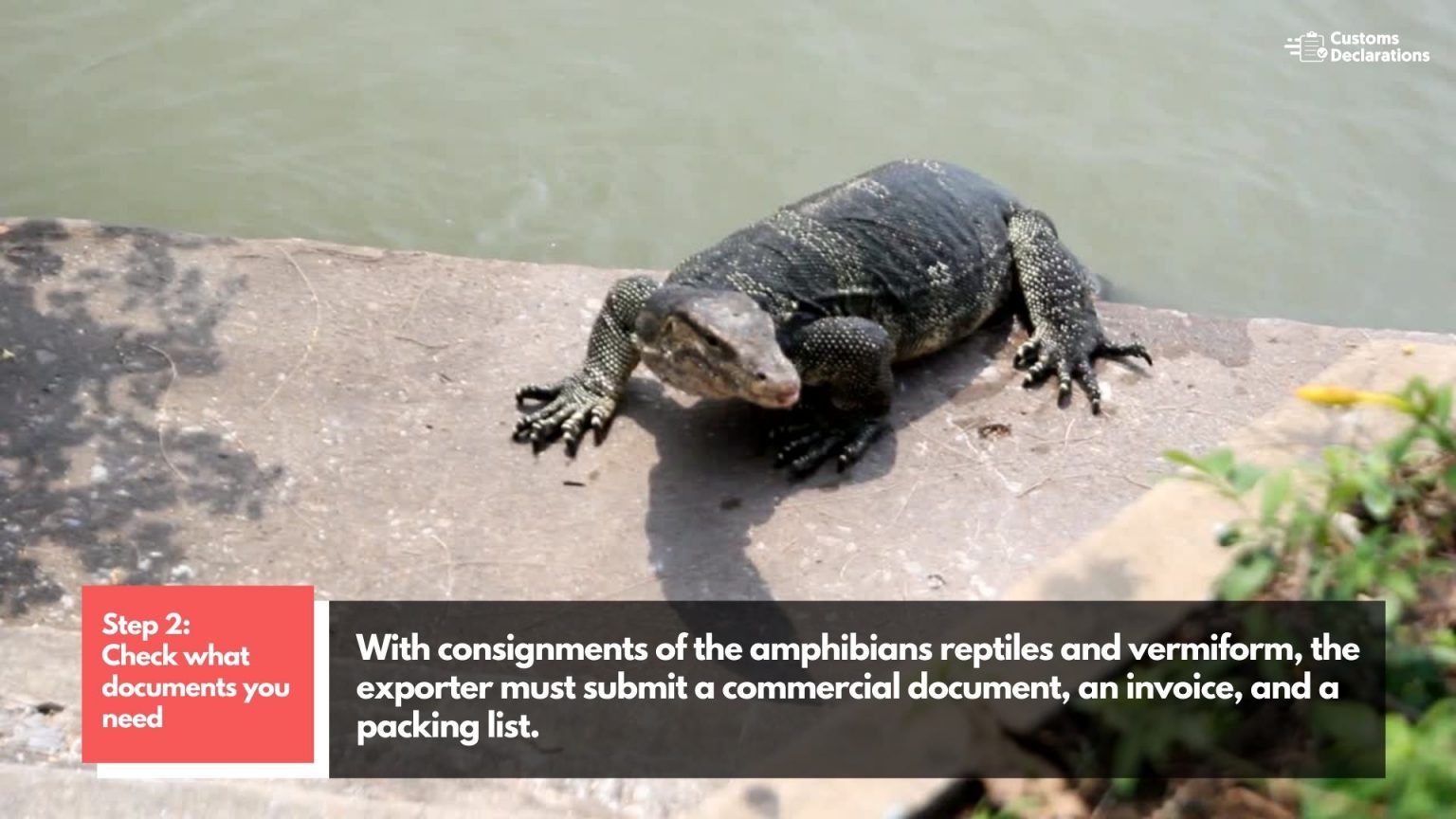 A quick guide to importing live animals and germinal products from the ...