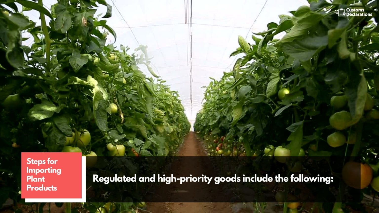 A quick guide to Importing plants and plant products from the E.U. to ...