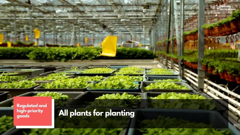A quick guide to Importing plants and plant products from the E.U. to ...