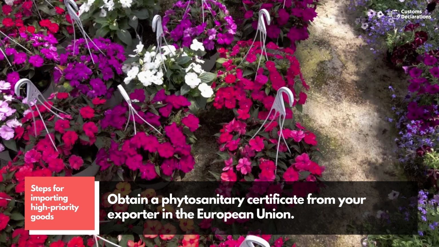 A quick guide to Importing plants and plant products from the E.U. to ...