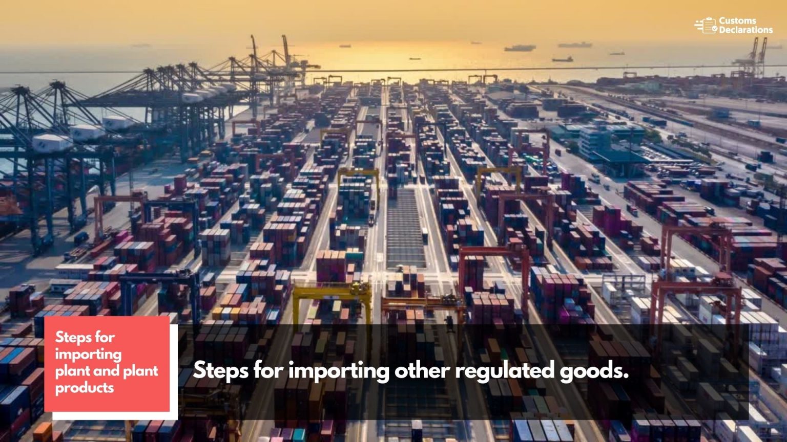 A quick guide to Importing plants and plant products from the E.U. to ...