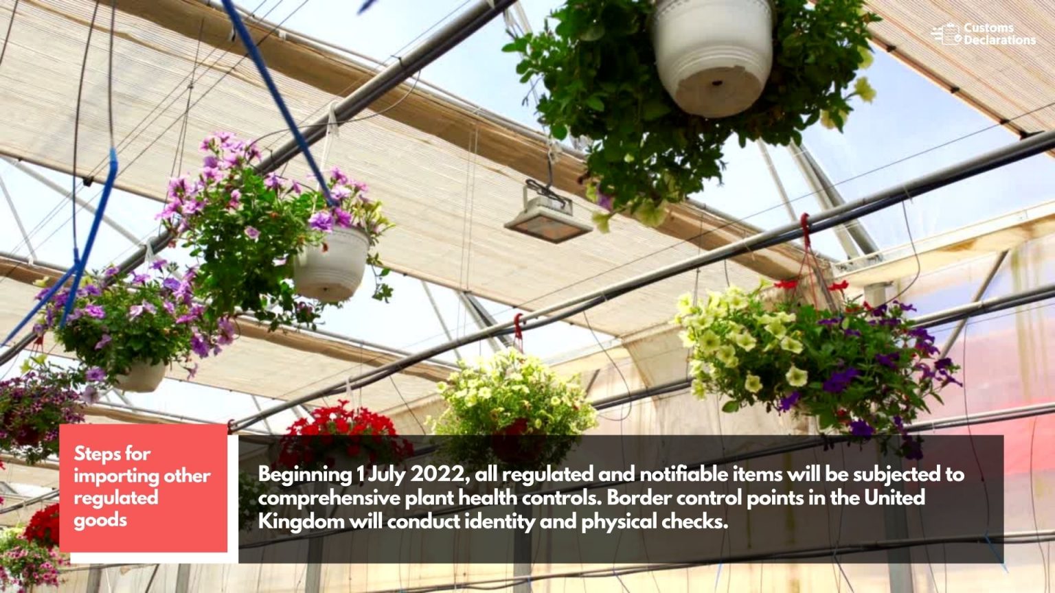 A quick guide to Importing plants and plant products from the E.U. to ...