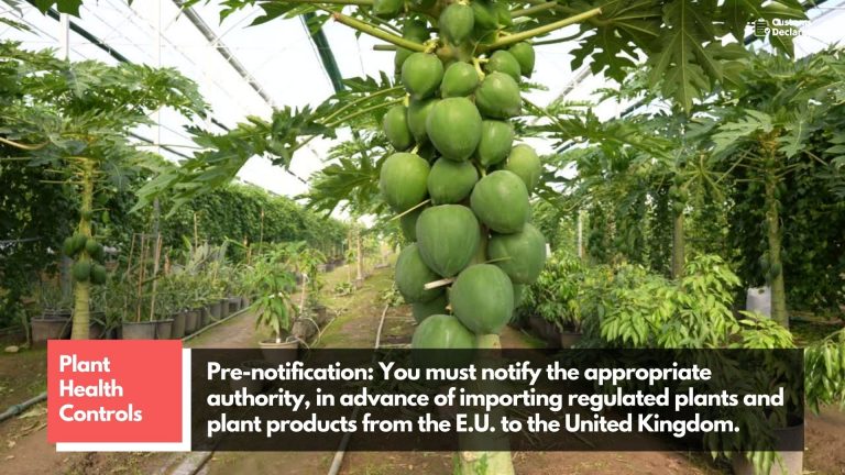 A quick guide to Importing plants and plant products from the E.U. to ...