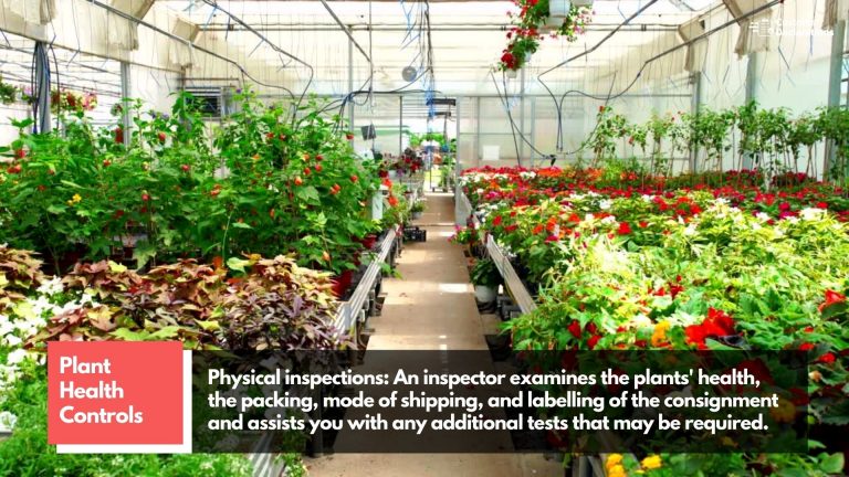 A quick guide to Importing plants and plant products from the E.U. to ...