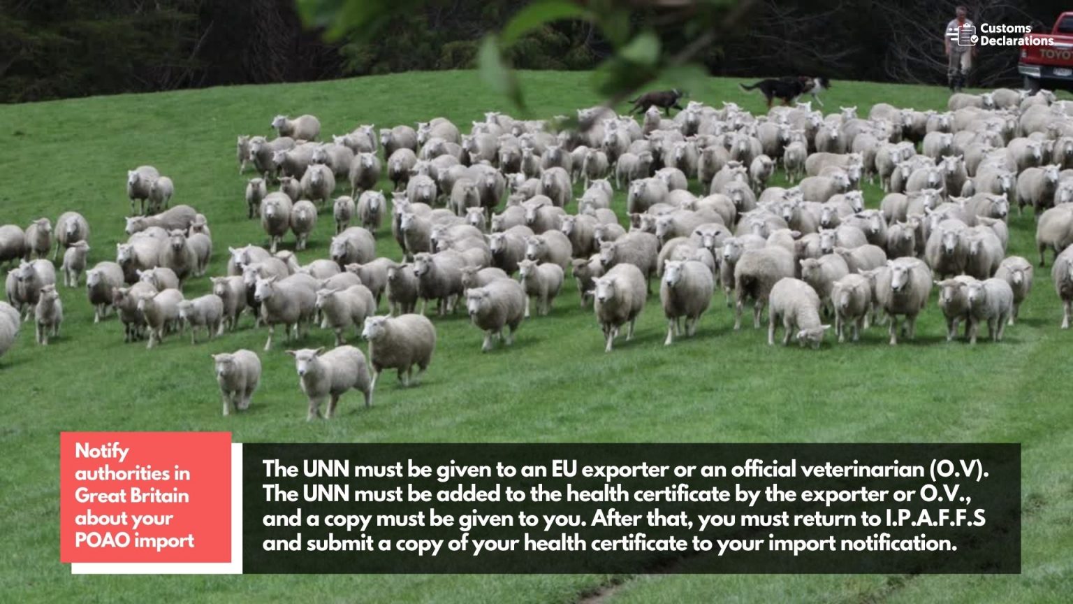 A quick guide to importing food and drink from the EU to Great Britain ...