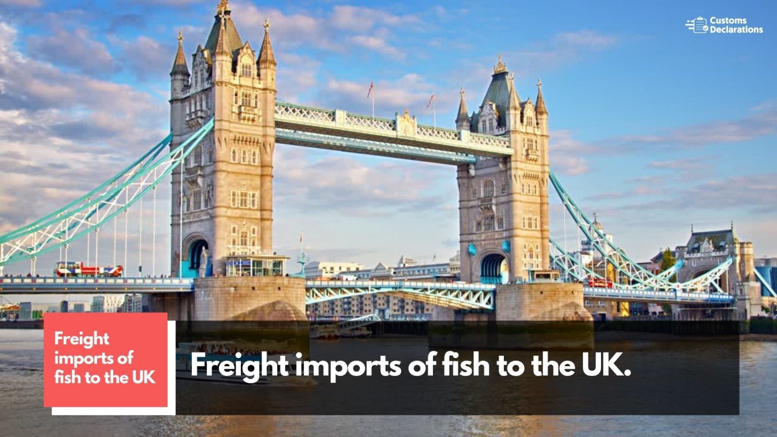 A Quick Guide to Importing or Moving Fish to the UK for Human ...