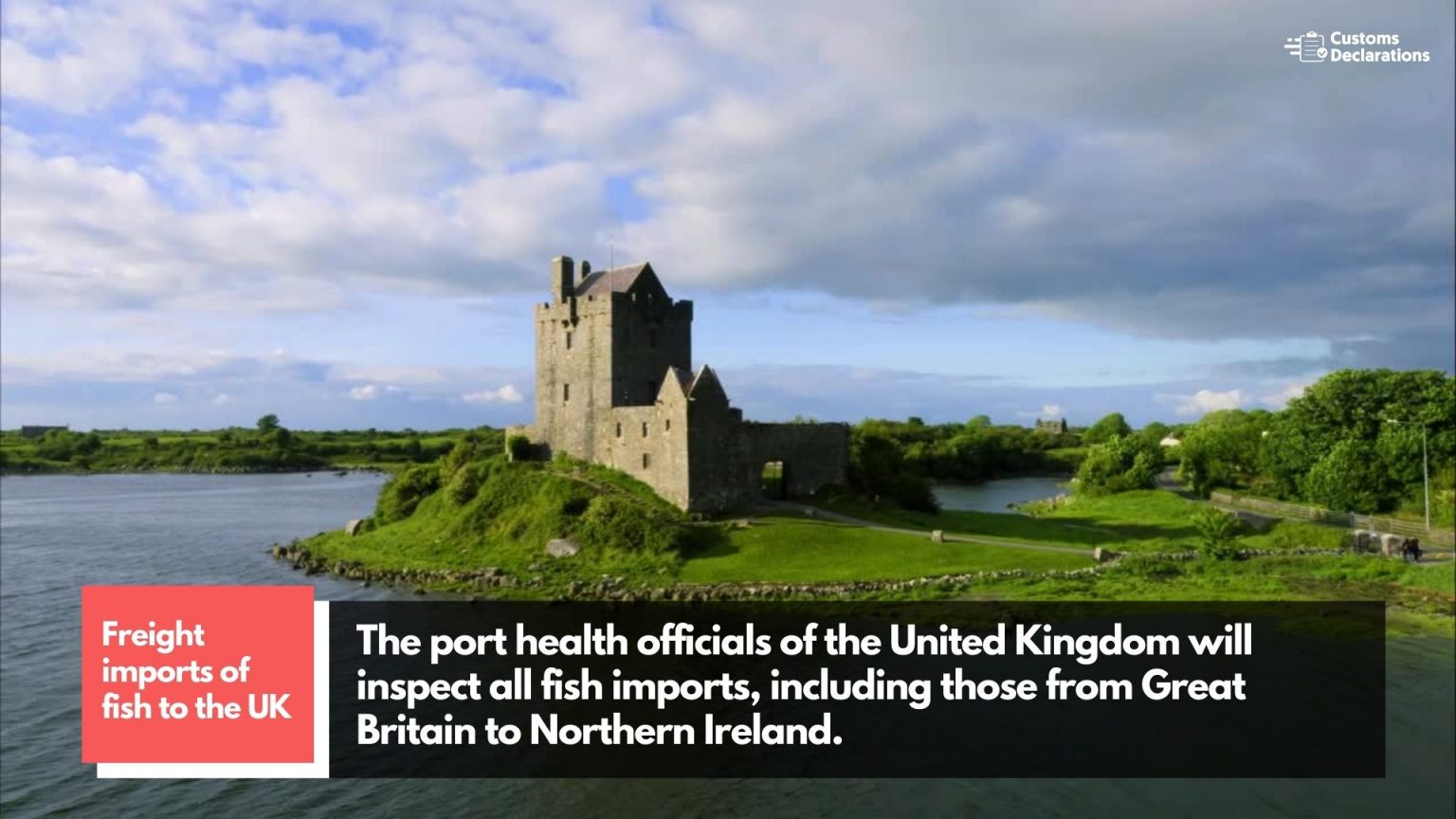 A Quick Guide to Importing or Moving Fish to the UK for Human ...