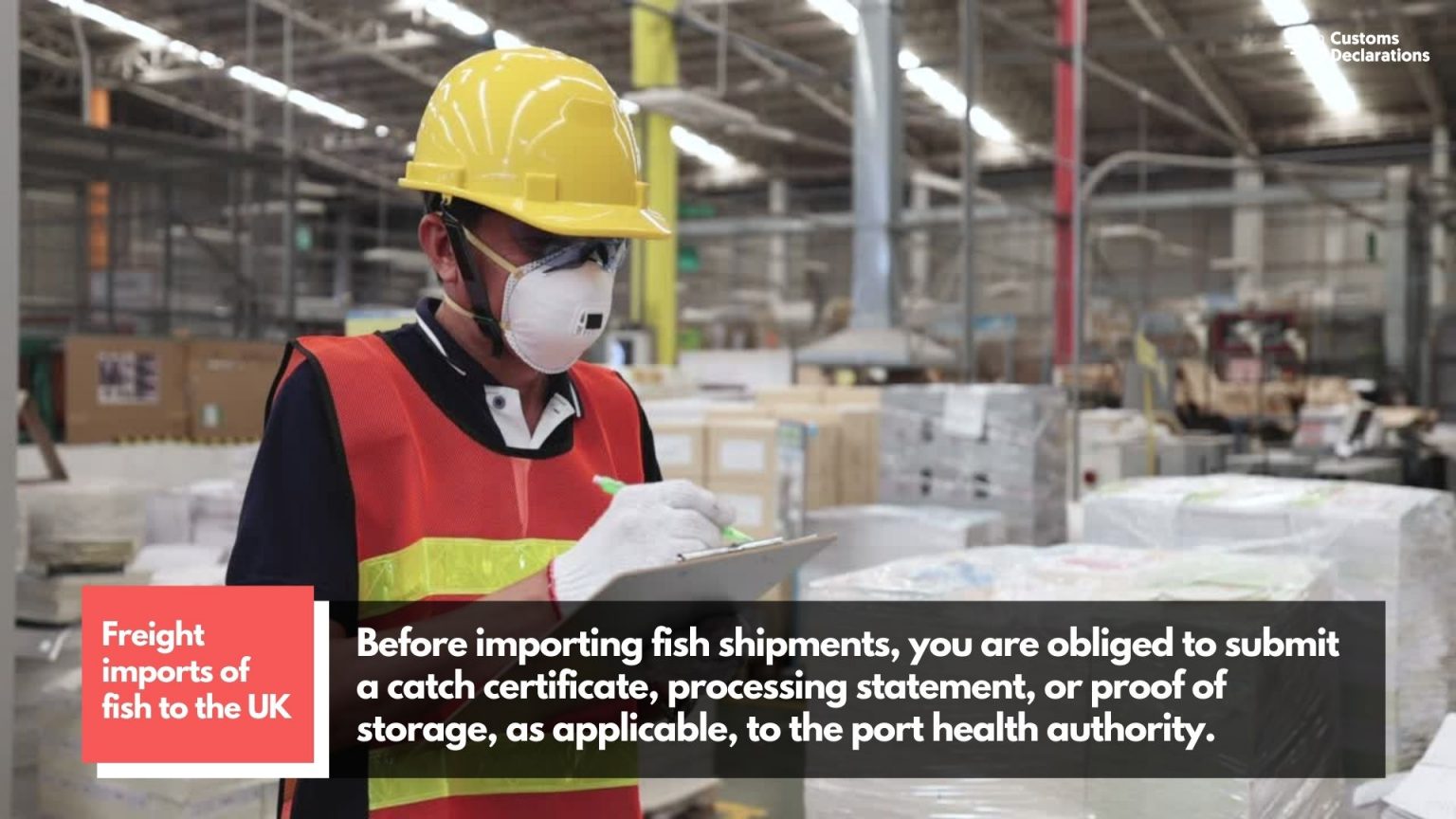 A Quick Guide to Importing or Moving Fish to the UK for Human ...