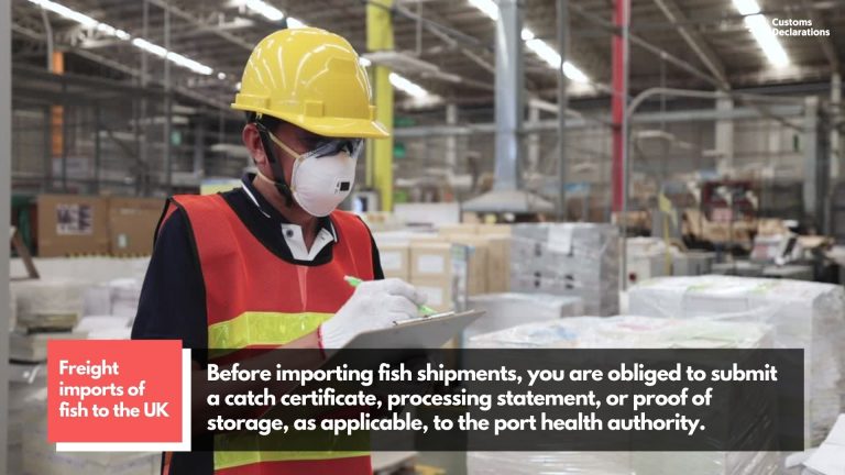 A Quick Guide to Importing or Moving Fish to the UK for Human ...