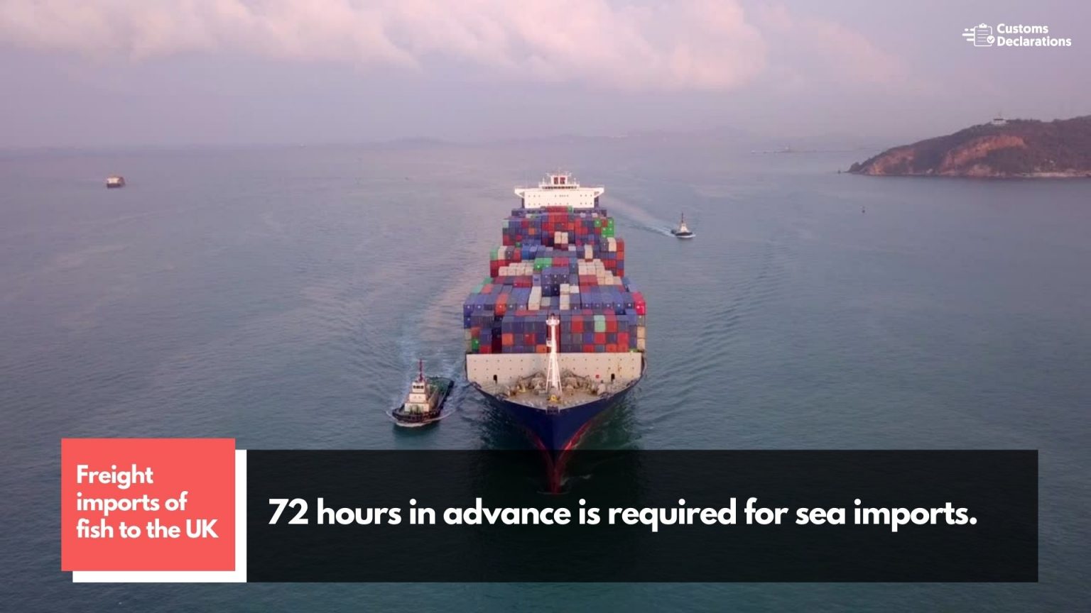 A Quick Guide to Importing or Moving Fish to the UK for Human ...