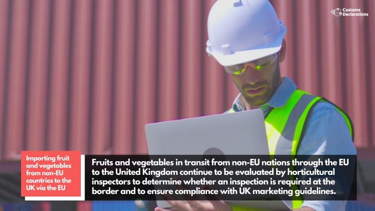 A Quick Guide to Importing and Exporting Fresh Fruit and Vegetables to ...