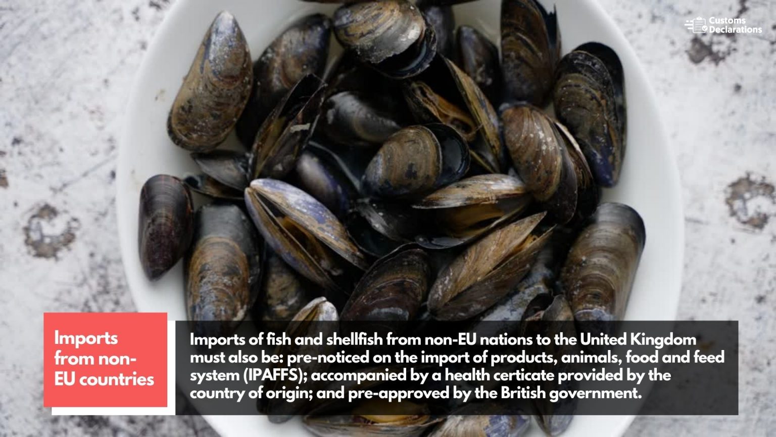 A Quick Guide to Importing or Moving Fish to the UK for Human ...