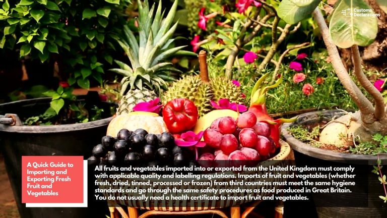 A Quick Guide to Importing and Exporting Fresh Fruit and Vegetables to ...