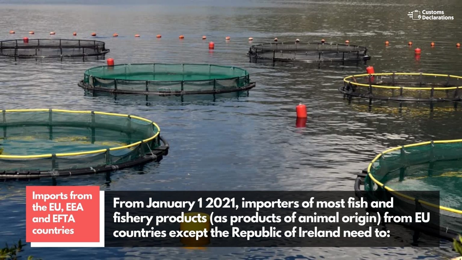 A Quick Guide to Importing or Moving Fish to the UK for Human ...