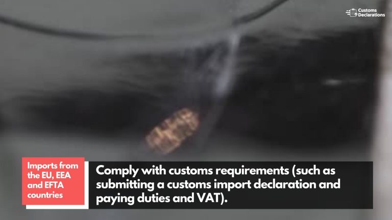 A Quick Guide to Importing or Moving Fish to the UK for Human ...