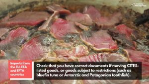 A Quick Guide to Importing or Moving Fish to the UK for Human ...