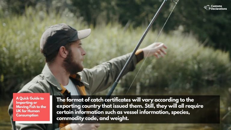 A Quick Guide to Importing or Moving Fish to the UK for Human ...