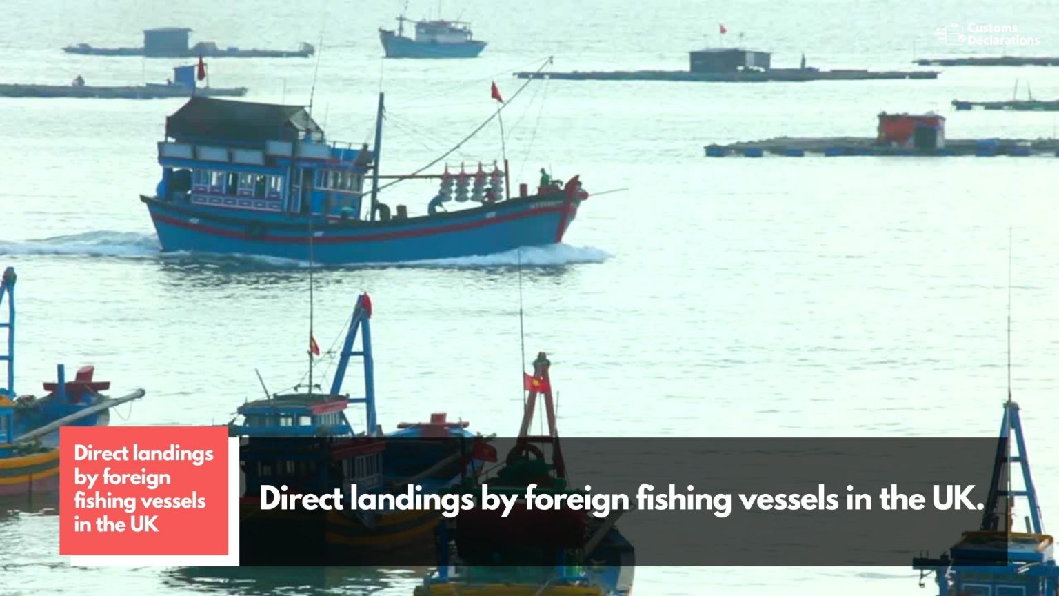 A Quick Guide to Importing or Moving Fish to the UK for Human ...