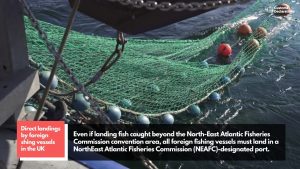 A Quick Guide to Importing or Moving Fish to the UK for Human ...