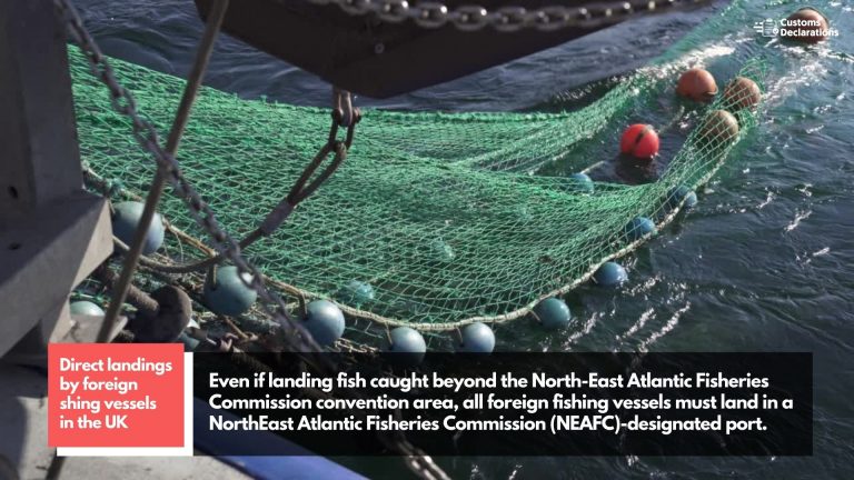 A Quick Guide to Importing or Moving Fish to the UK for Human ...