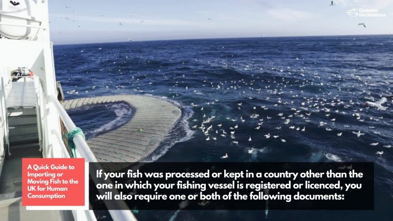 A Quick Guide to Importing or Moving Fish to the UK for Human ...