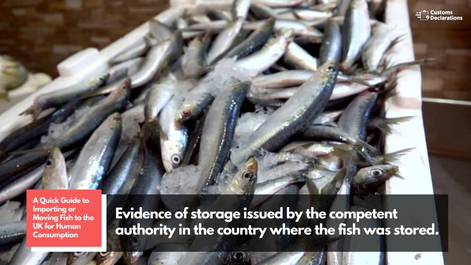 A Quick Guide to Importing or Moving Fish to the UK for Human ...
