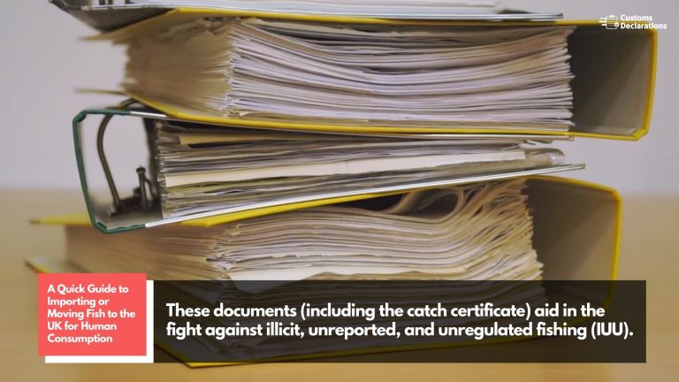 A Quick Guide to Importing or Moving Fish to the UK for Human ...