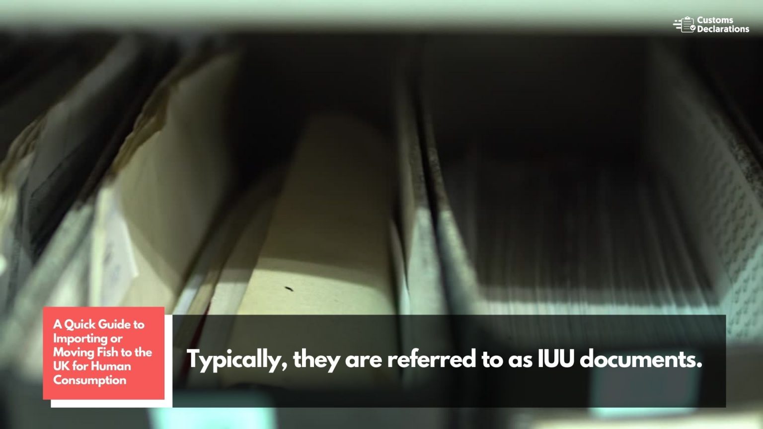 A Quick Guide to Importing or Moving Fish to the UK for Human ...